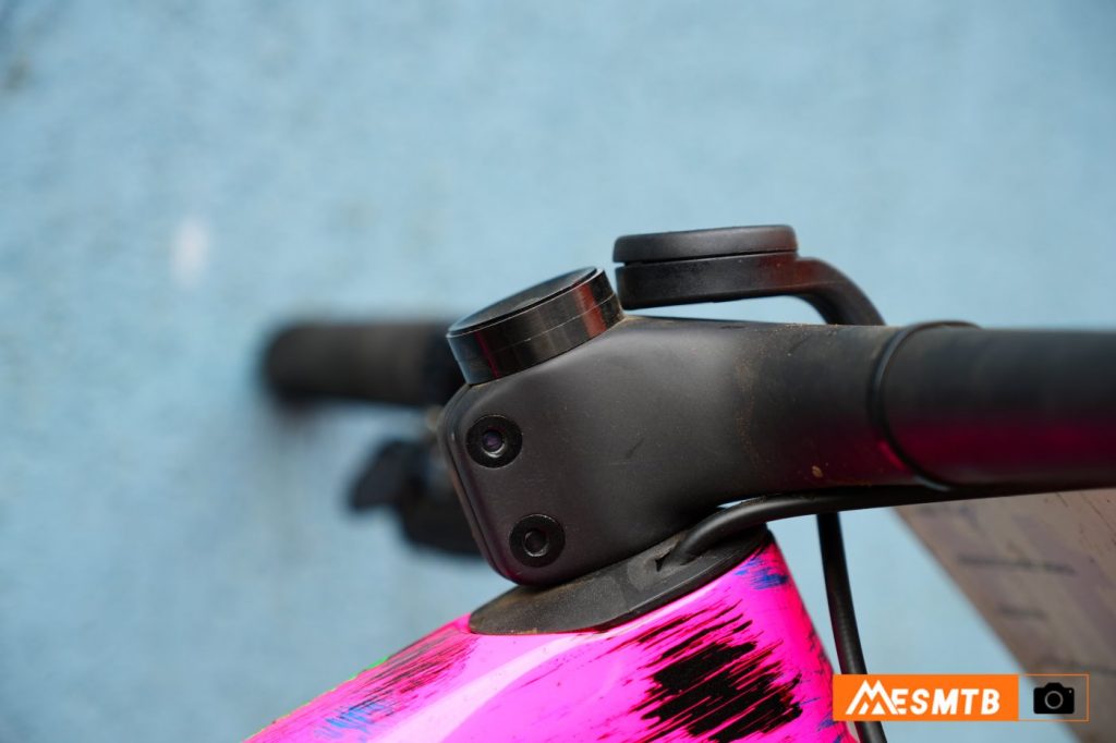 S-Works Epic World Cup del Trinity Racing y su impresionante decoración