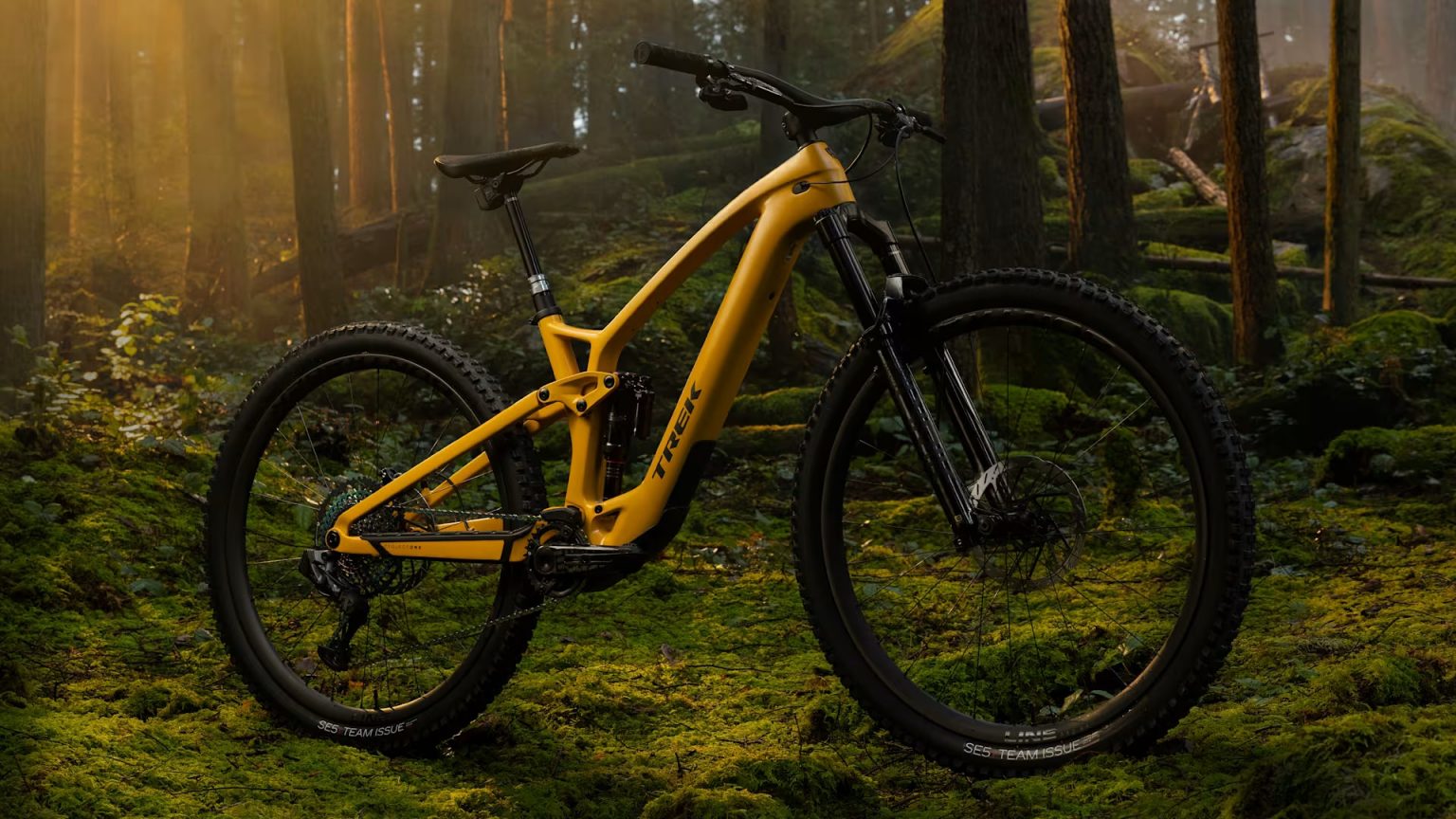 Trek cumple 50 años: estas son sus 25 bicis más emblemáticas